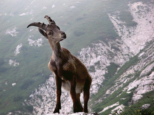 Interesting & Fun Facts About The Alps ⋆ Expert World Travel