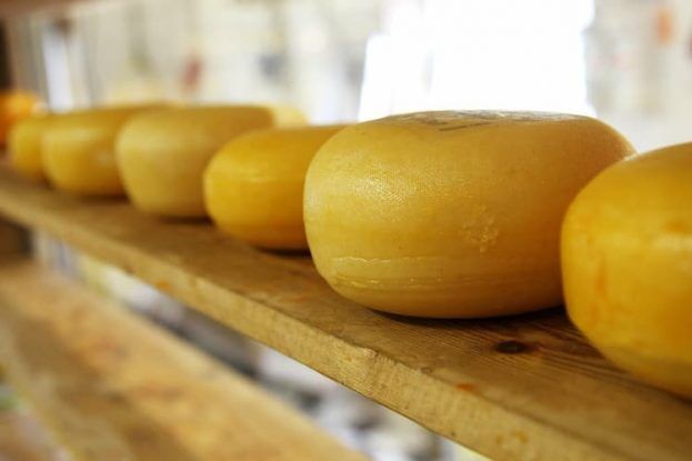 Best Cheese In India ⋆ Expert World Travel